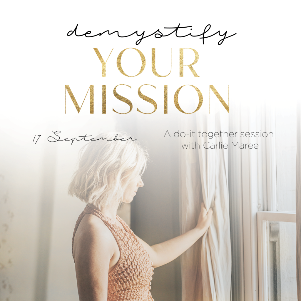'Demystify your mission' workshop - Carlie Maree